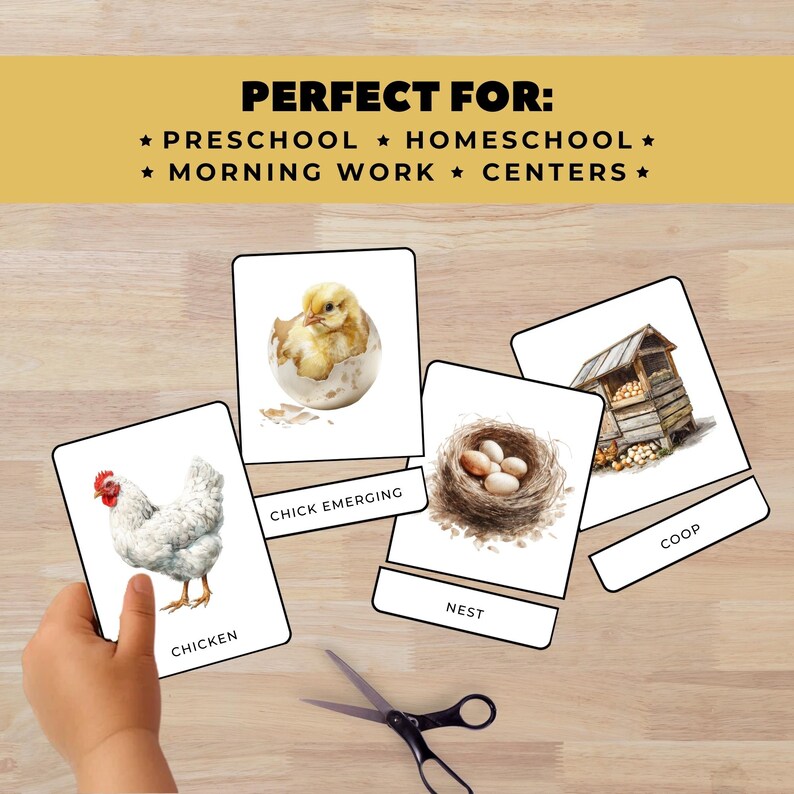 Chicken Life Cycle Montessori 3-part Cards, Elementary Biology ...
