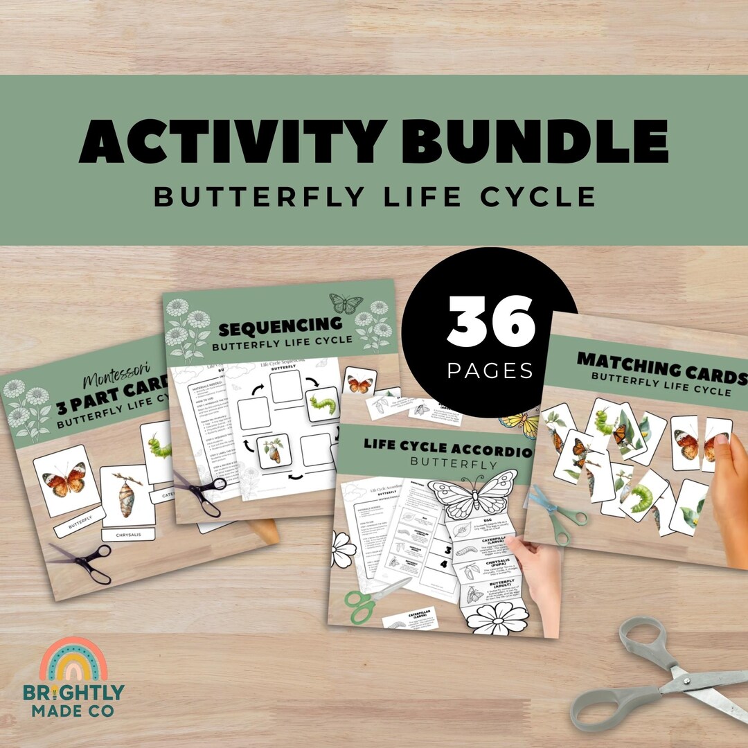 Butterfly Life Cycle Activities BUNDLE, Insects Science Printable ...