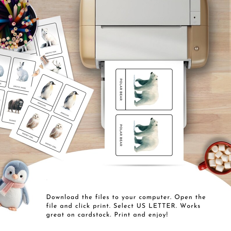 Arctic Animals Montessori 3-part Cards, Preschool Vocabulary, Early ...