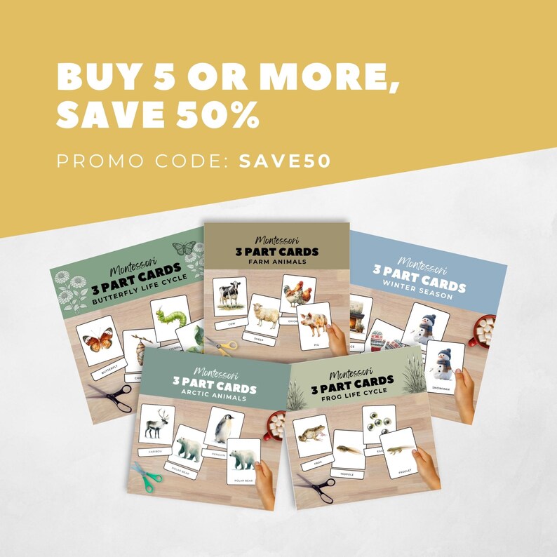 Chicken Life Cycle Montessori 3-part Cards, Elementary Biology ...