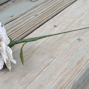 Vintage Song Lyrics Roses. CHOOSE YOUR SONG. Valentine, First ...