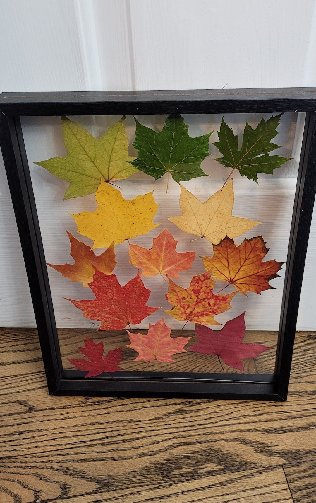 Preserved Maple Leaf Picture. Home Decor, Anniversary Gift, Birthday ...