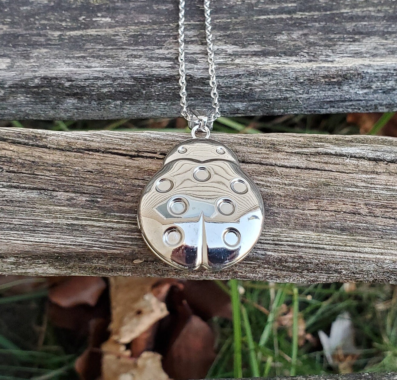 Ladybug Locket. Photo Locket. Ladybug Necklace. Gift for Wedding ...