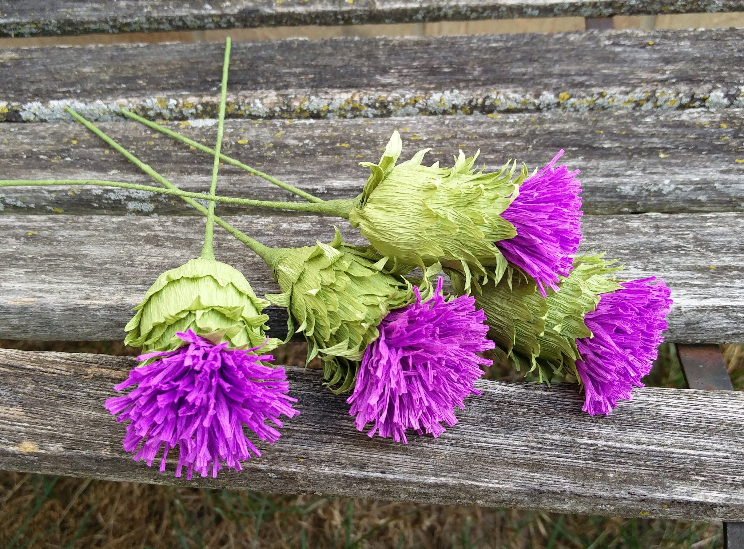 Paper Thistle Perfect For First Anniversary Weddings Etsy paper-thistle-perfect-for-first-anniversary-weddings-etsy