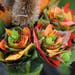 12 FALL Maple Leaf Roses, With Teasel. REAL LEAVES! Fall Home Decor ...