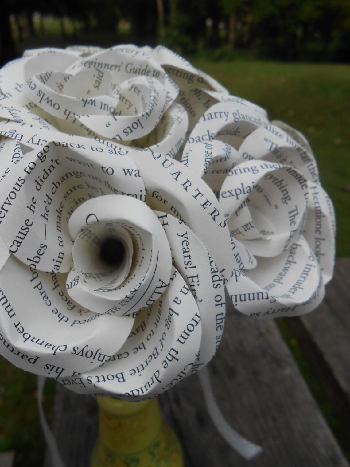 BOOK Dozen Rose. Perfect for First Anniversary, Weddings, Birthdays ...