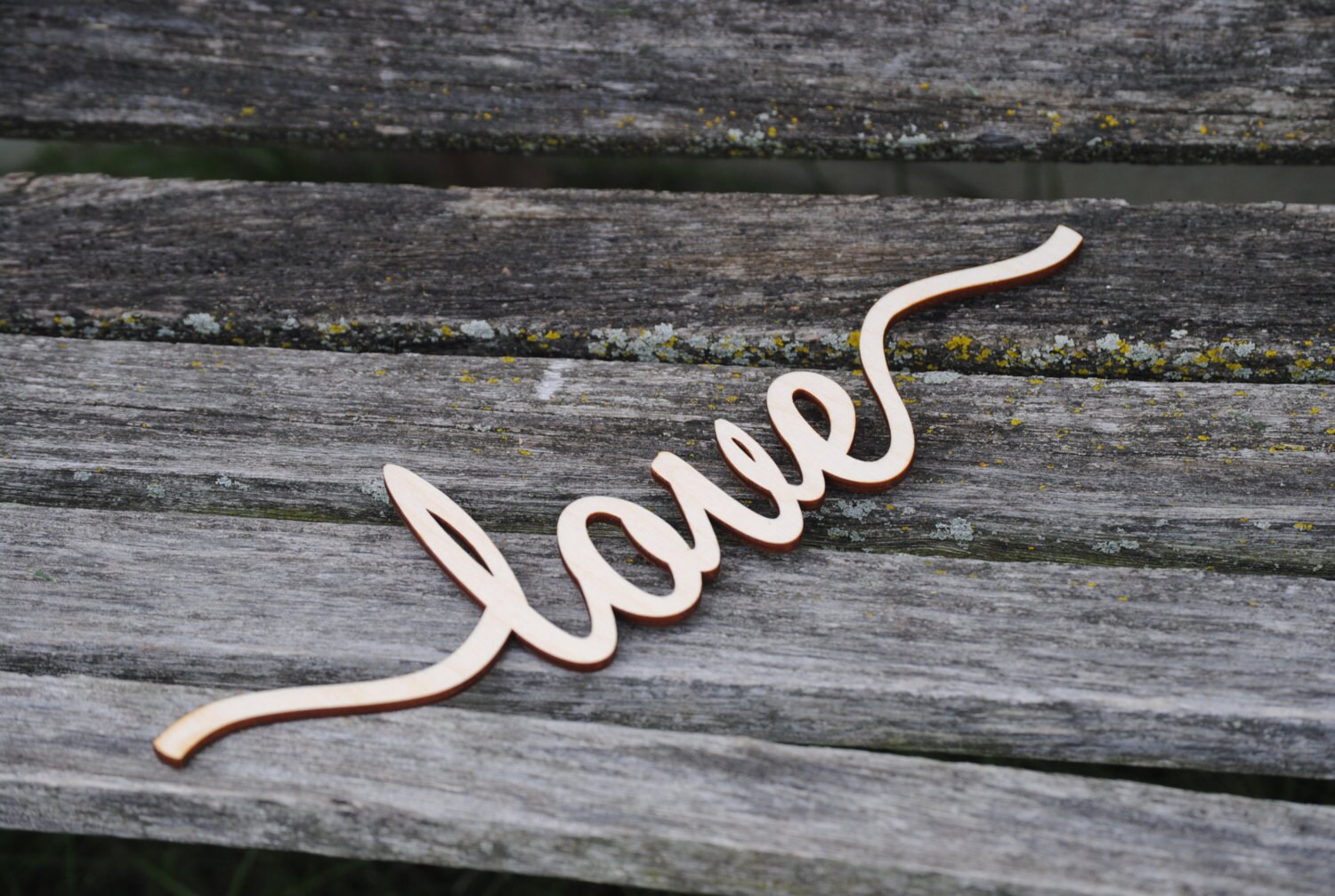 Custom Script Word Sign. Personalized Wood Sign Laser Cut | Etsy