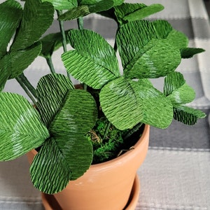 Potted Clover Plant. Paper Clover. St. Patrick's Day, First Anniversary ...