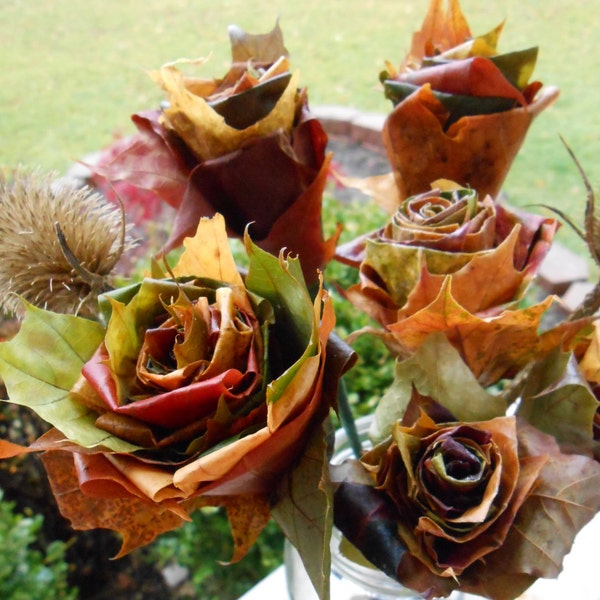 Real Maple Leaf - Etsy