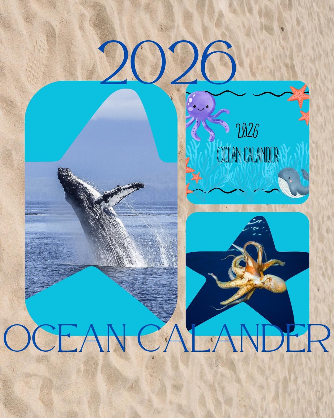 2026 Ocean Animals Calendar, Printable Wall Decor (PDF) - Etsy