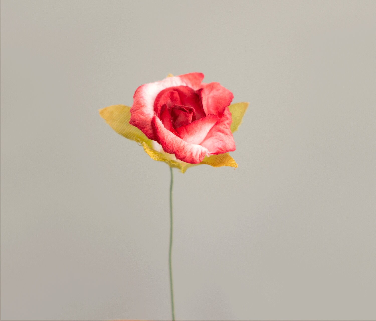 Crimson Heirloom Two Tone Paper Flowers / Curled Petals / 25 Mm Roses ...