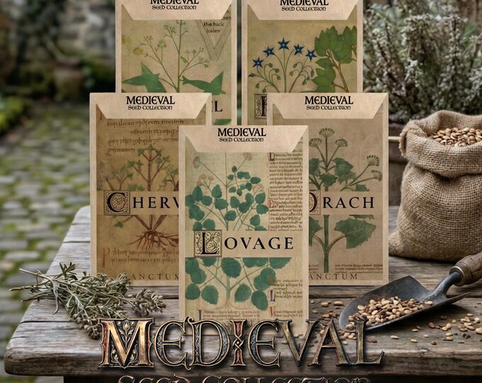 Medieval Potager Garden Seed Kit - Etsy