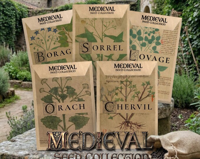 Medieval Potager Garden Seed Kit - Etsy