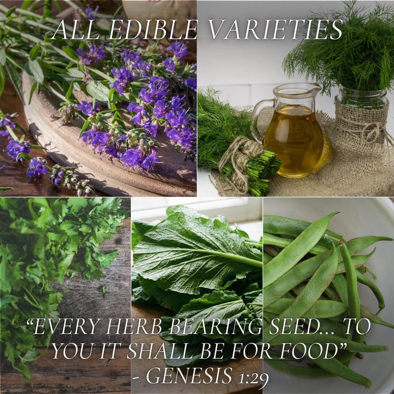 Bible Garden Seed Collection | 5 Edible Faith Inspired Plants | Grow ...