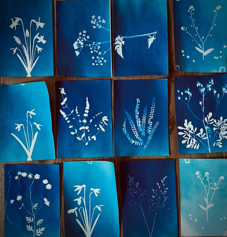 Pressed Flower Cyanotype Print | Digital Download | Botanical Wall Art ...