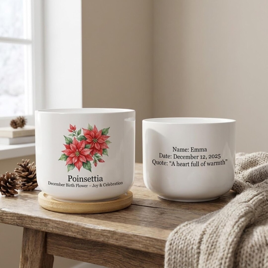 December Birth Flower Adenium Plant Pot – Poinsettia Design ...