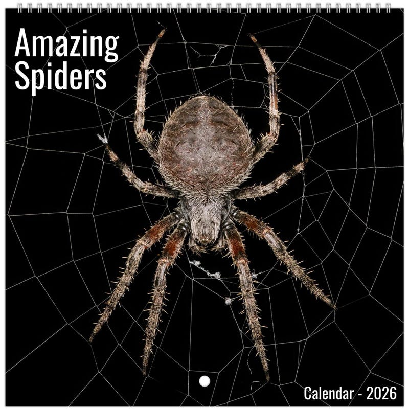 Macro Nature Calendar - Etsy