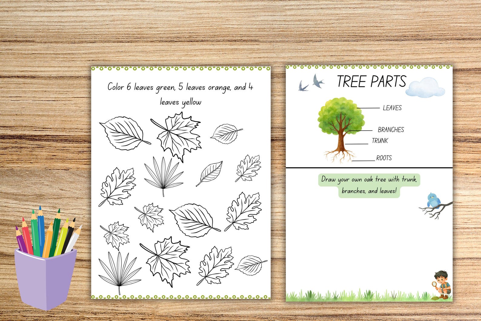 Nature Learning Workbook - Preschool & Kindergarten (24 Pages PDF) - Etsy