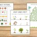 Nature Learning Workbook - Preschool & Kindergarten (24 Pages PDF) - Etsy