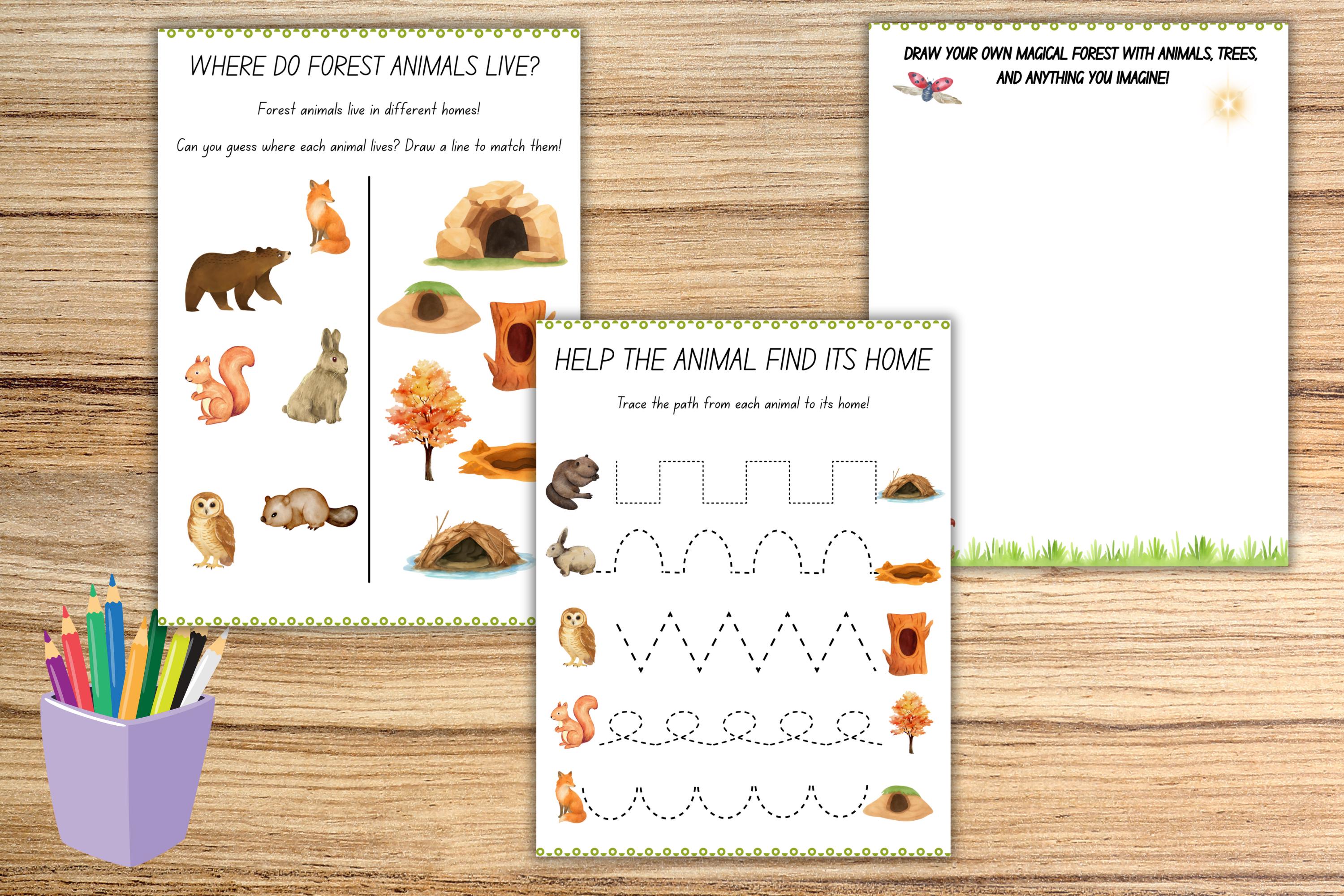 Nature Learning Workbook - Preschool & Kindergarten (24 Pages PDF) - Etsy