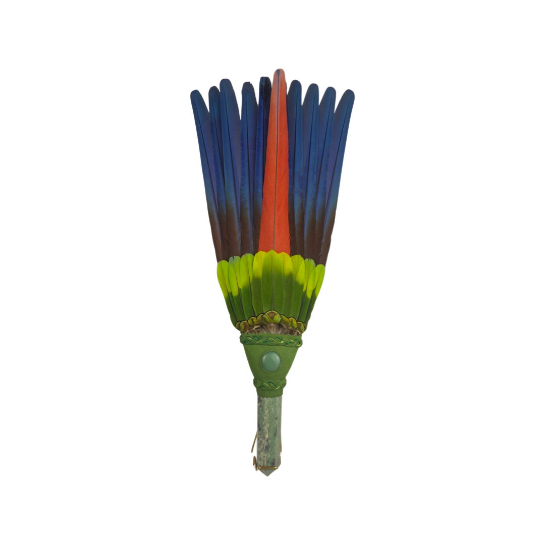 Macaw & Amazon Parrot Fan - Etsy