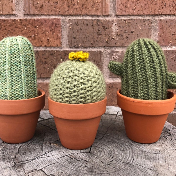 Knit Cactus - Etsy