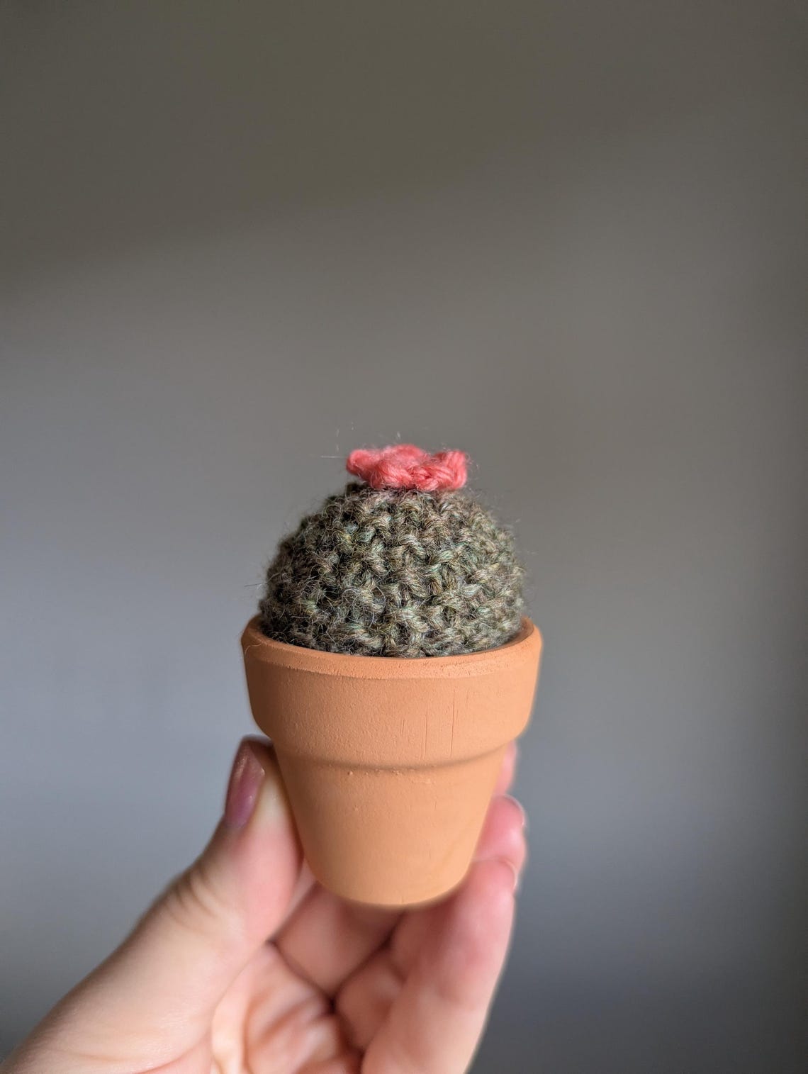Hand Knit Mini Barrel Cactus: Wool Yarn Succulent Decor - Etsy
