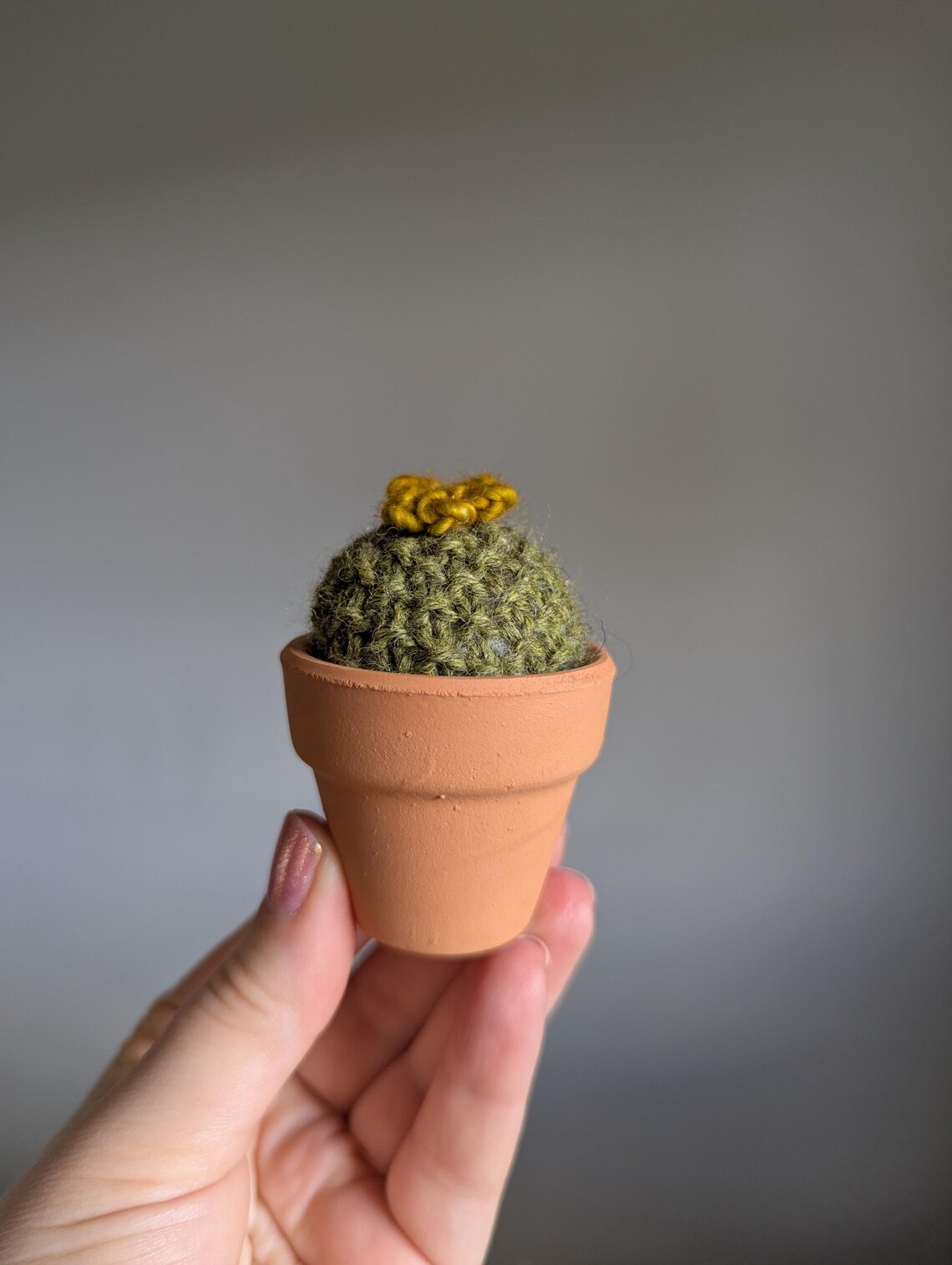 Hand Knit Mini Barrel Cactus: Wool Yarn Succulent Decor - Etsy