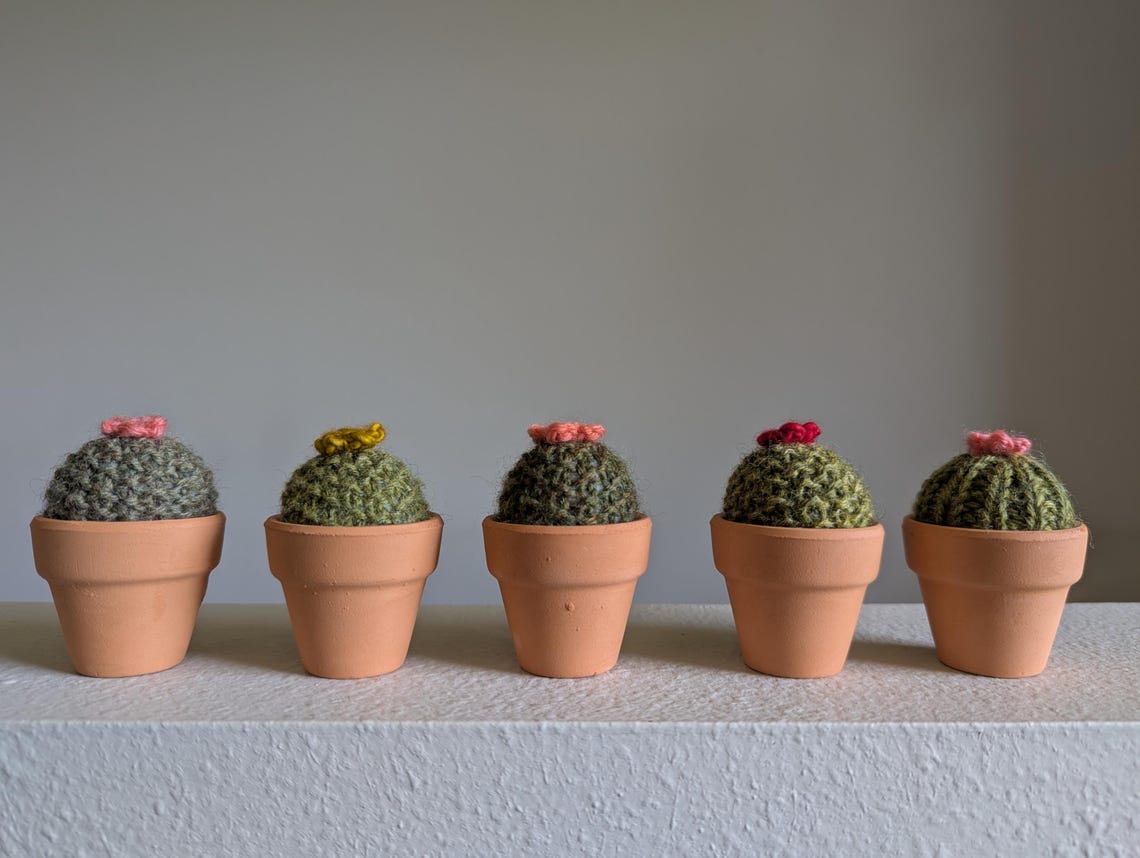 Hand Knit Mini Barrel Cactus: Wool Yarn Succulent Decor - Etsy