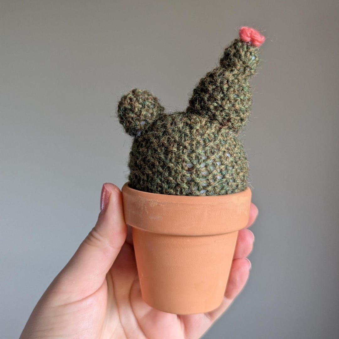 Knit Barrel With Pups Cactus - Etsy