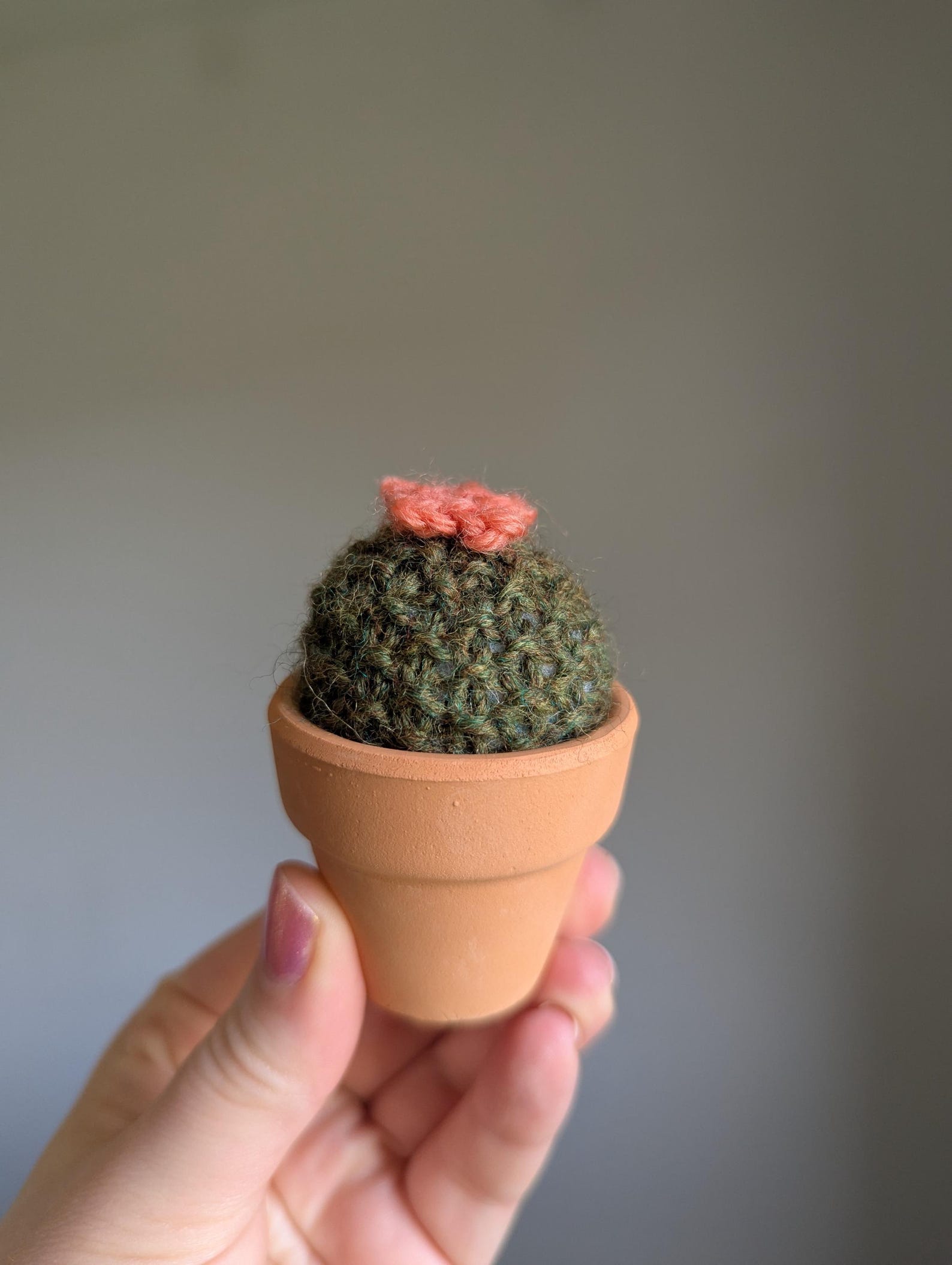 Hand Knit Mini Barrel Cactus: Wool Yarn Succulent Decor - Etsy