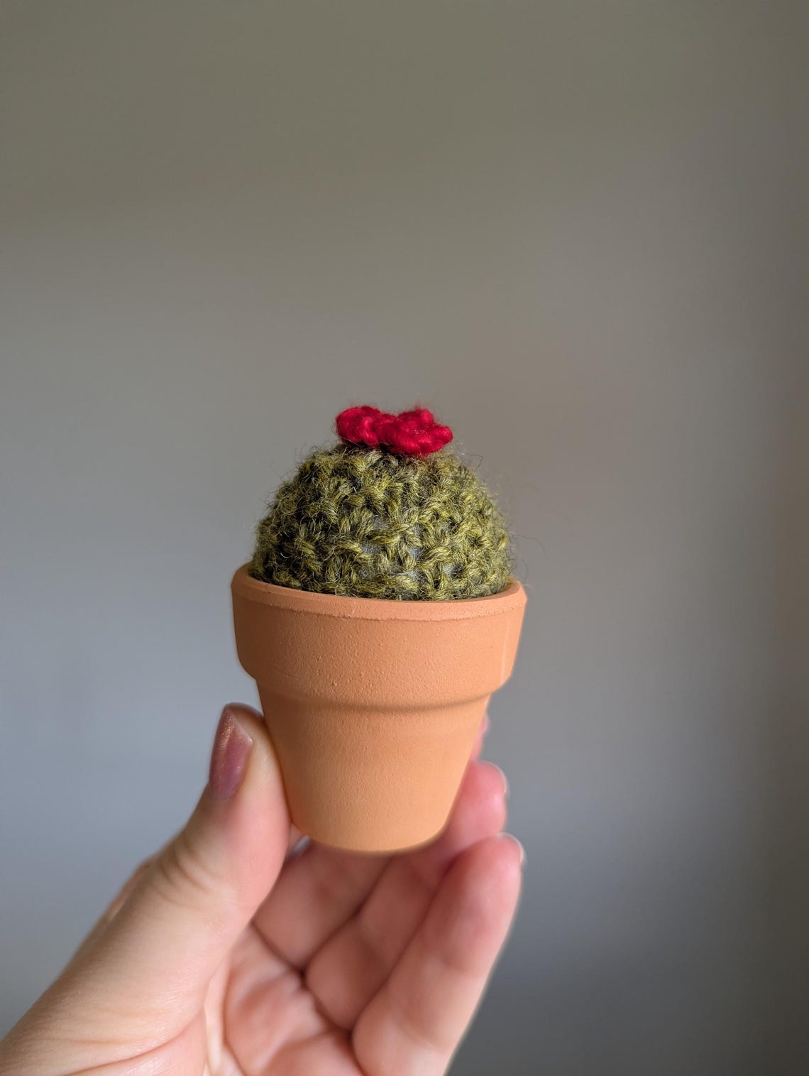 Hand Knit Mini Barrel Cactus: Wool Yarn Succulent Decor - Etsy