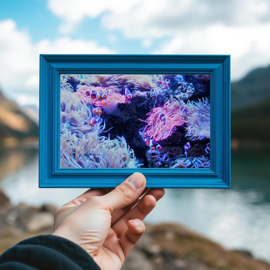 STAY - Photo Set – Remembrance, Reflection (digital Download 8x10in, 20 ...