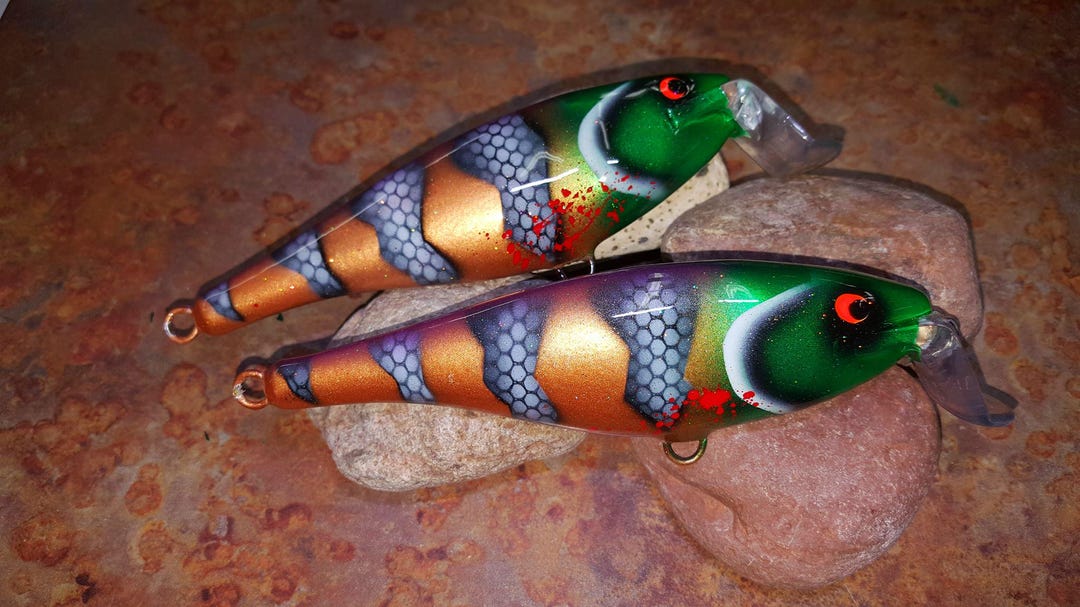 Custom Painted Rapala Super Shad Rap Snakehead Color - Etsy