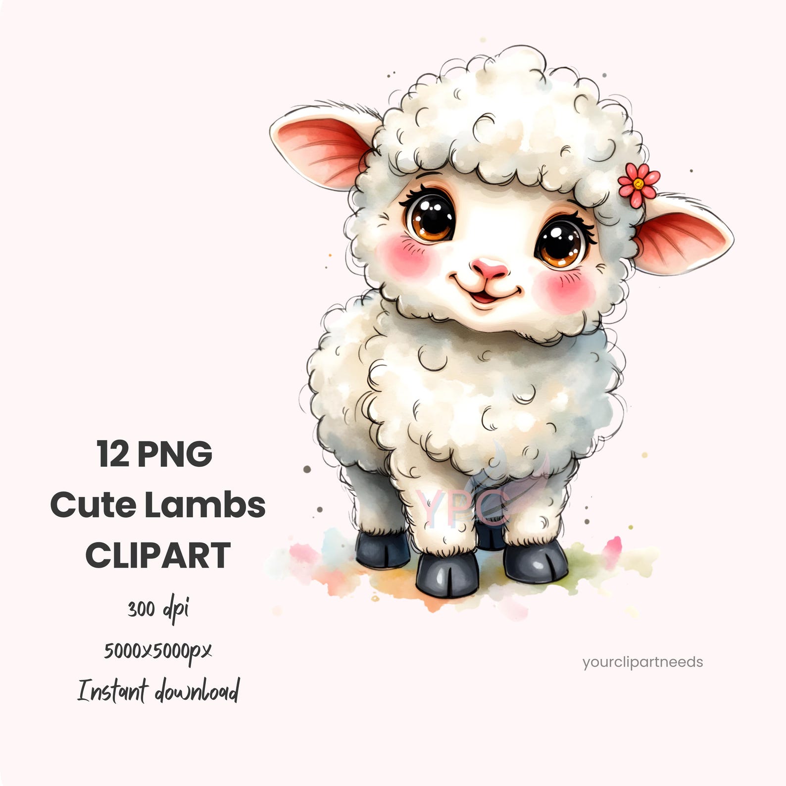Watercolor Lamb Clipart Set | 12 Baby Sheep Pngs (instant Download) - Etsy
