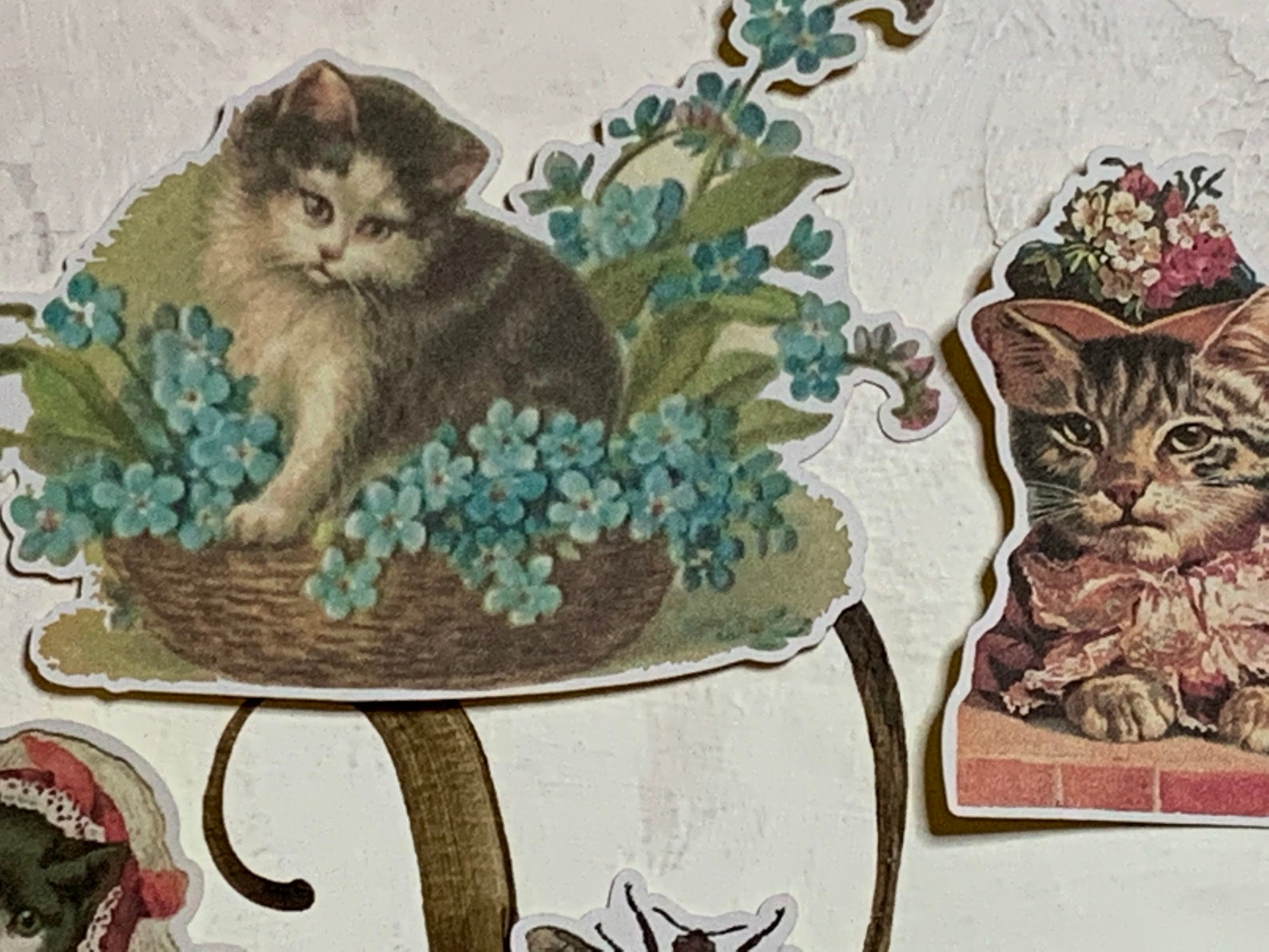 Vintage Kitty Cats Die Cut Stickers | Etsy Australia