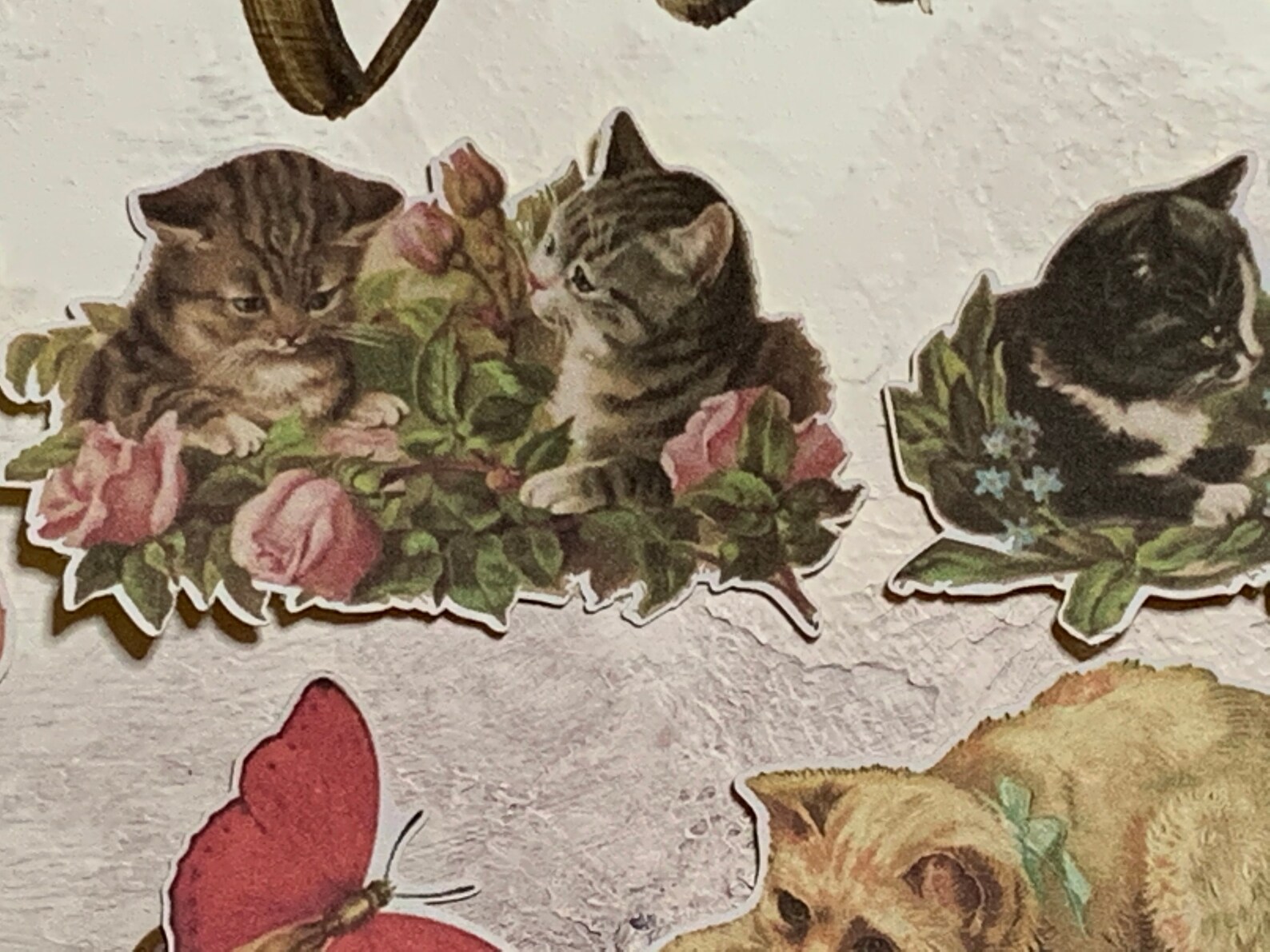 Vintage Kitty Cats Die Cut Stickers | Etsy Australia