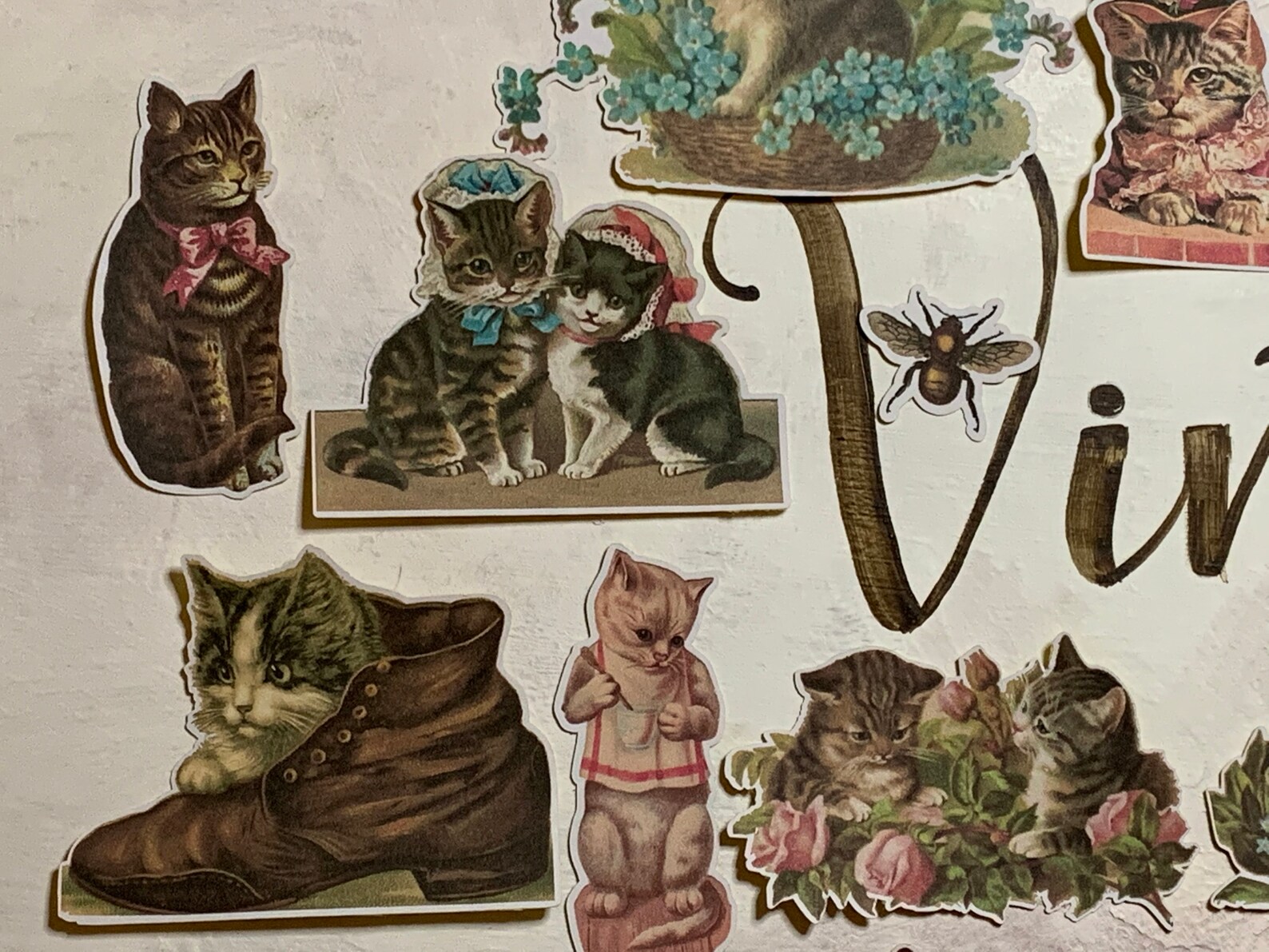 Vintage Kitty Cats Die Cut Stickers | Etsy Australia