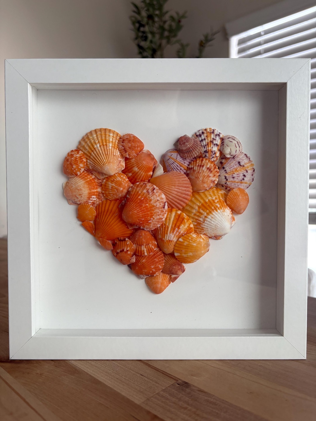 Shell Art in 8x8 Frame - Etsy Canada
