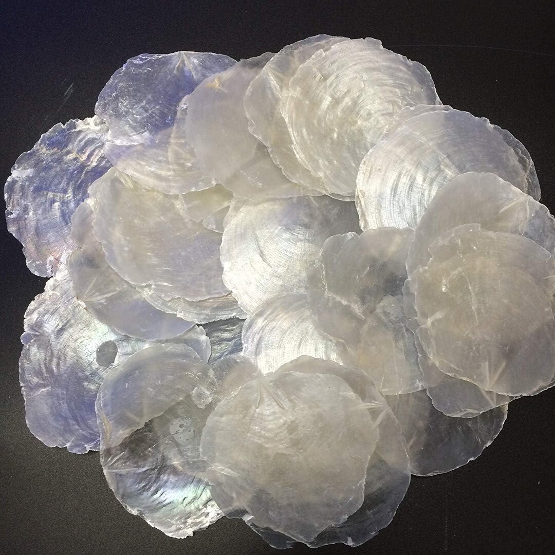 Round Natural Capiz Sea Shells, 8 OZ Apprx.27 PC Shells, 2-3/4 Inch 3 ...