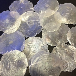 Round Natural Capiz Sea Shells, 8 OZ Apprx.27 PC Shells, 2-3/4 Inch 3 ...