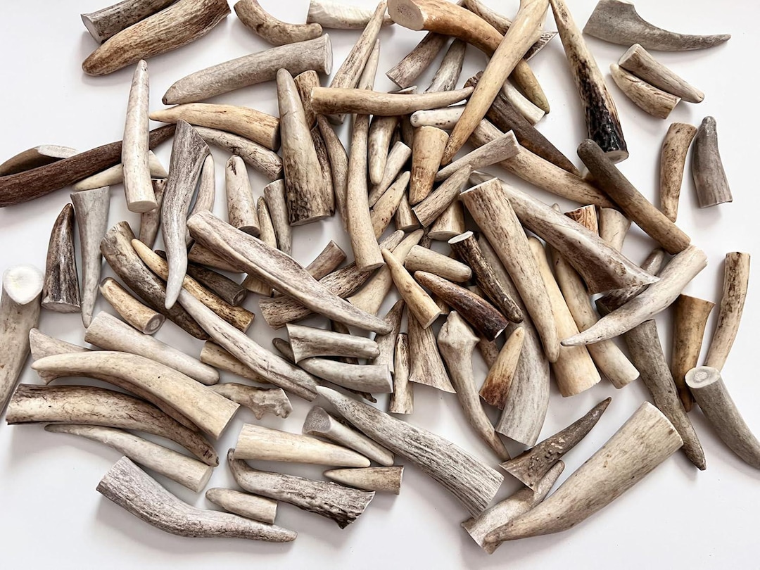 20PC Deer Antler Tips for Crafts Antler Tine Tips Crafts Points for ...