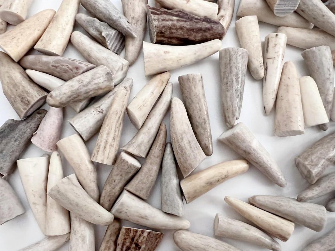 10PC Deer Antler Tips for Crafts Antler Tine Tips Crafts Points for ...