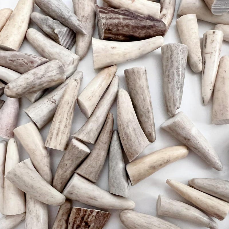 Antler Tip - Etsy
