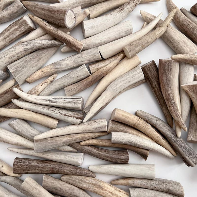 Antler Tips for Crafts - Etsy