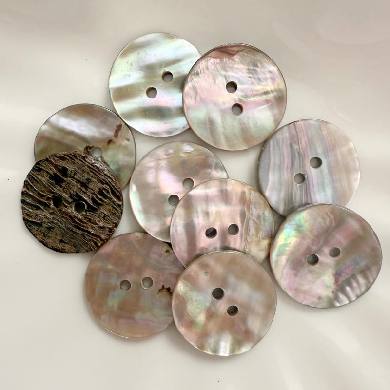 Abalone Buttons - Etsy