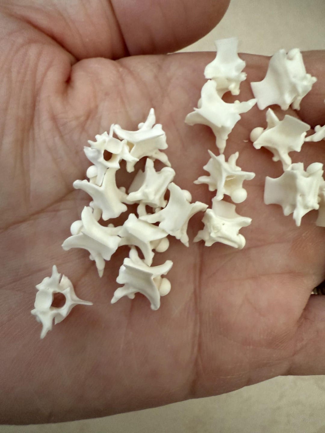 Rattlesnake Vertebrae Bones: 20pc Mixed Size Snake Skeleton for Crafts ...