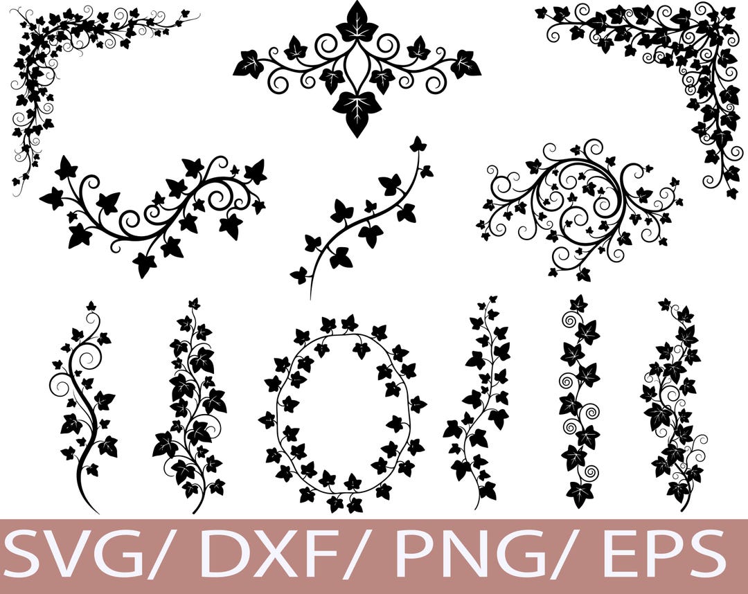 Ivy Vine SVG Silhouette Bundle, Floral Corner Borders, Leafy Wreath ...