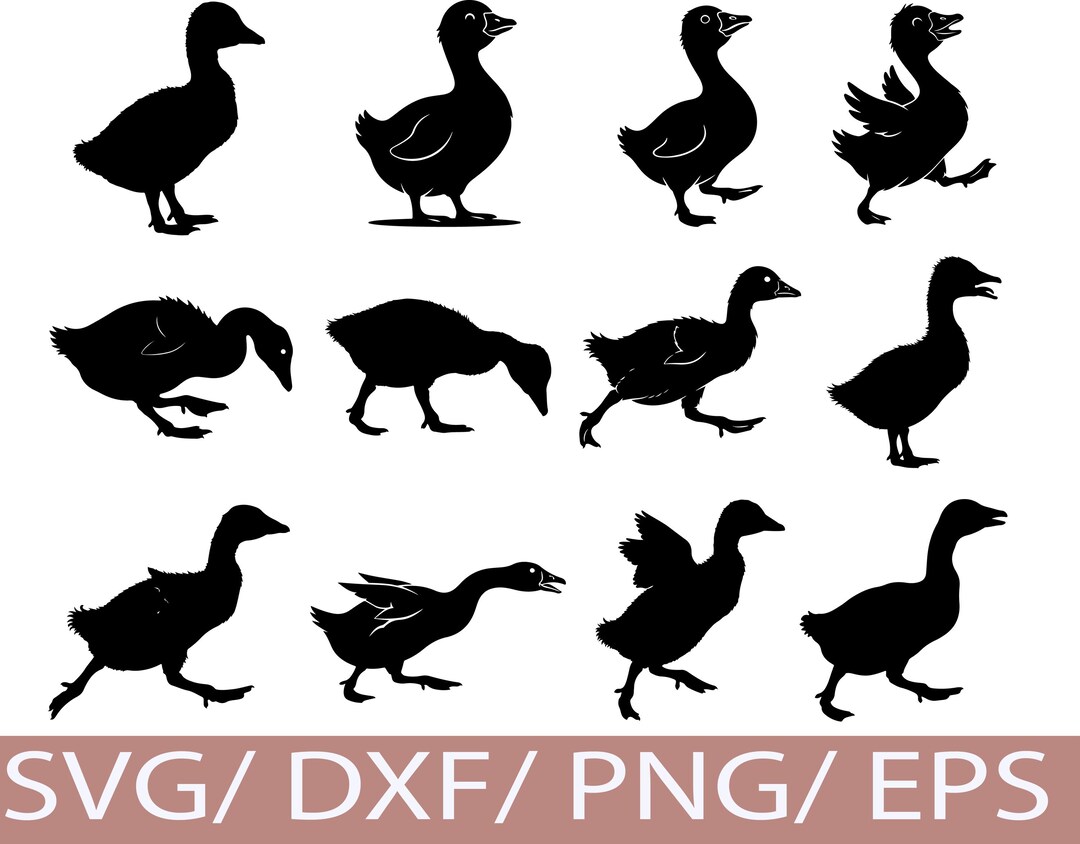 Baby Gans Silhouette SVG Set, Bauernhof Clipart (digitaler Download ...