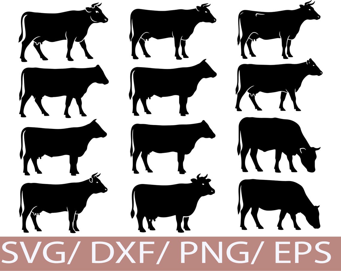 Cow SVG, Cow Silhouette Bundle, Cattle Farm Livestock Animal Icons - Etsy